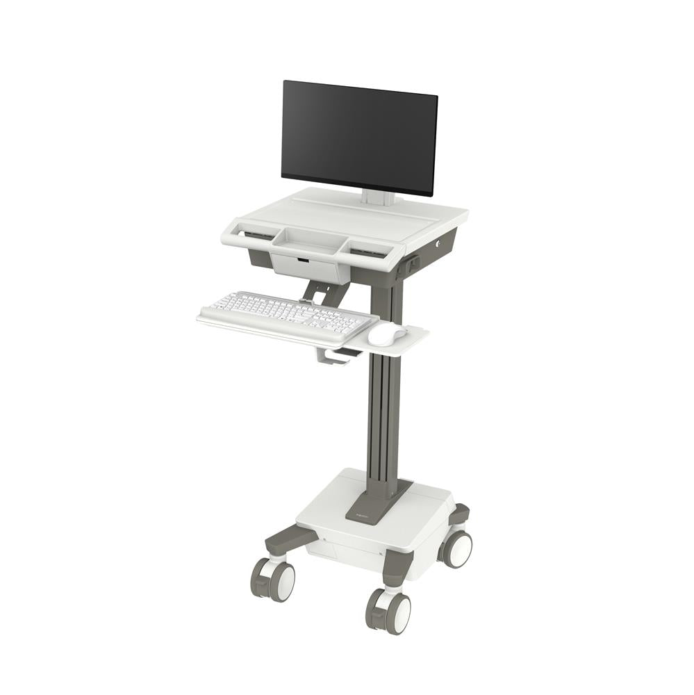 Ergotron Mosaic™ LCD Cart, AC Power US/CA/MX | Computer Cars, PC Carts ...